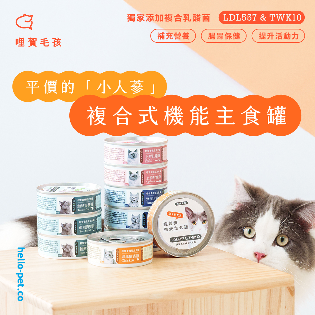 哩賀毛孩hello pet｜寵物生活的美好總和