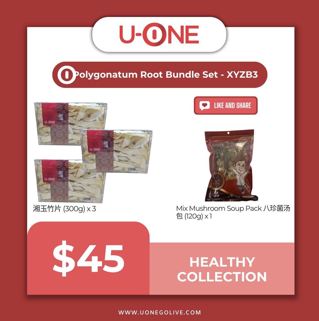 Polygonatum Root Bundle Set - XYZB3