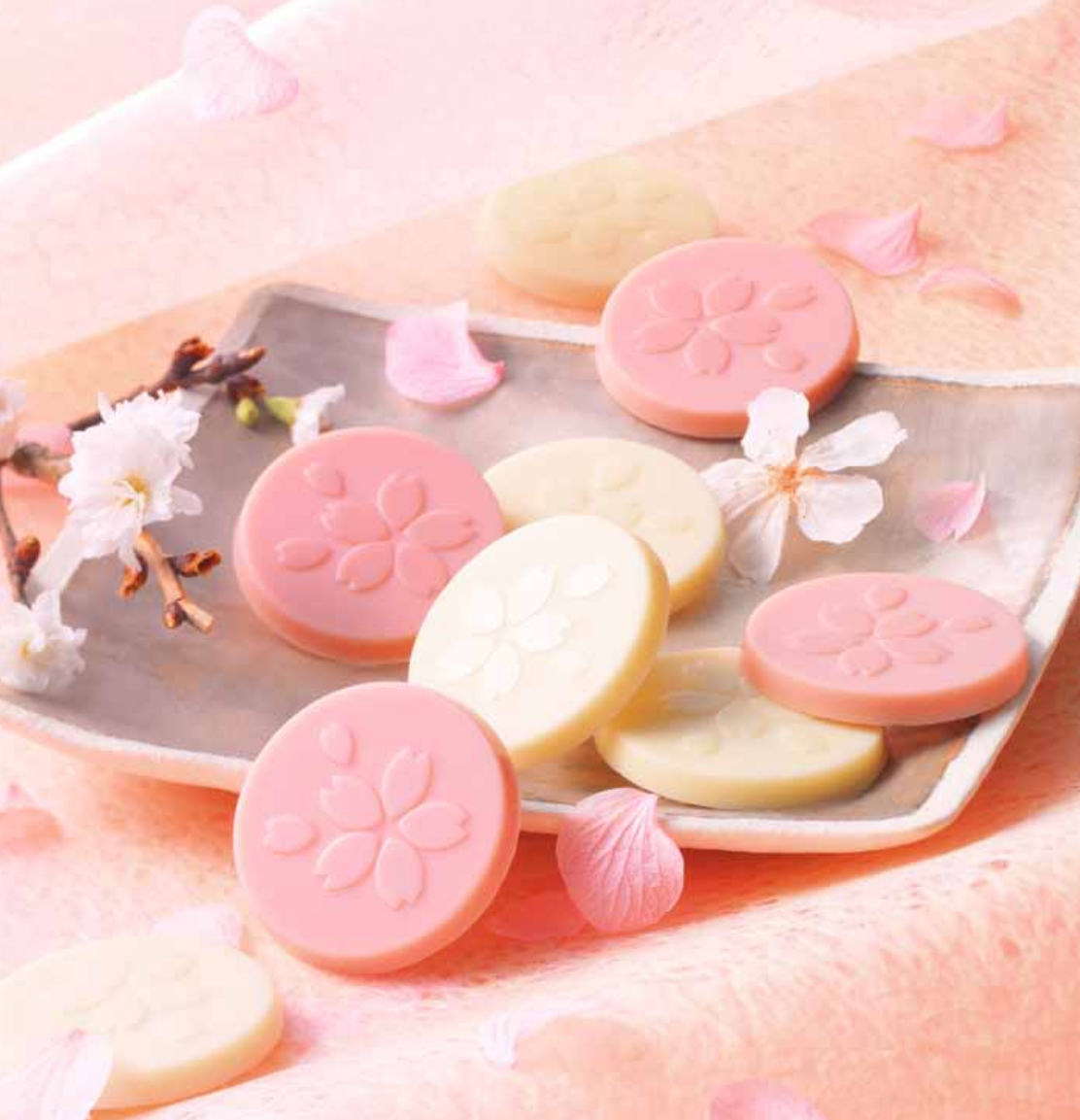 【預購】 J0314902 ROYCE’ 限定櫻花莓果味&櫻花白朱古味