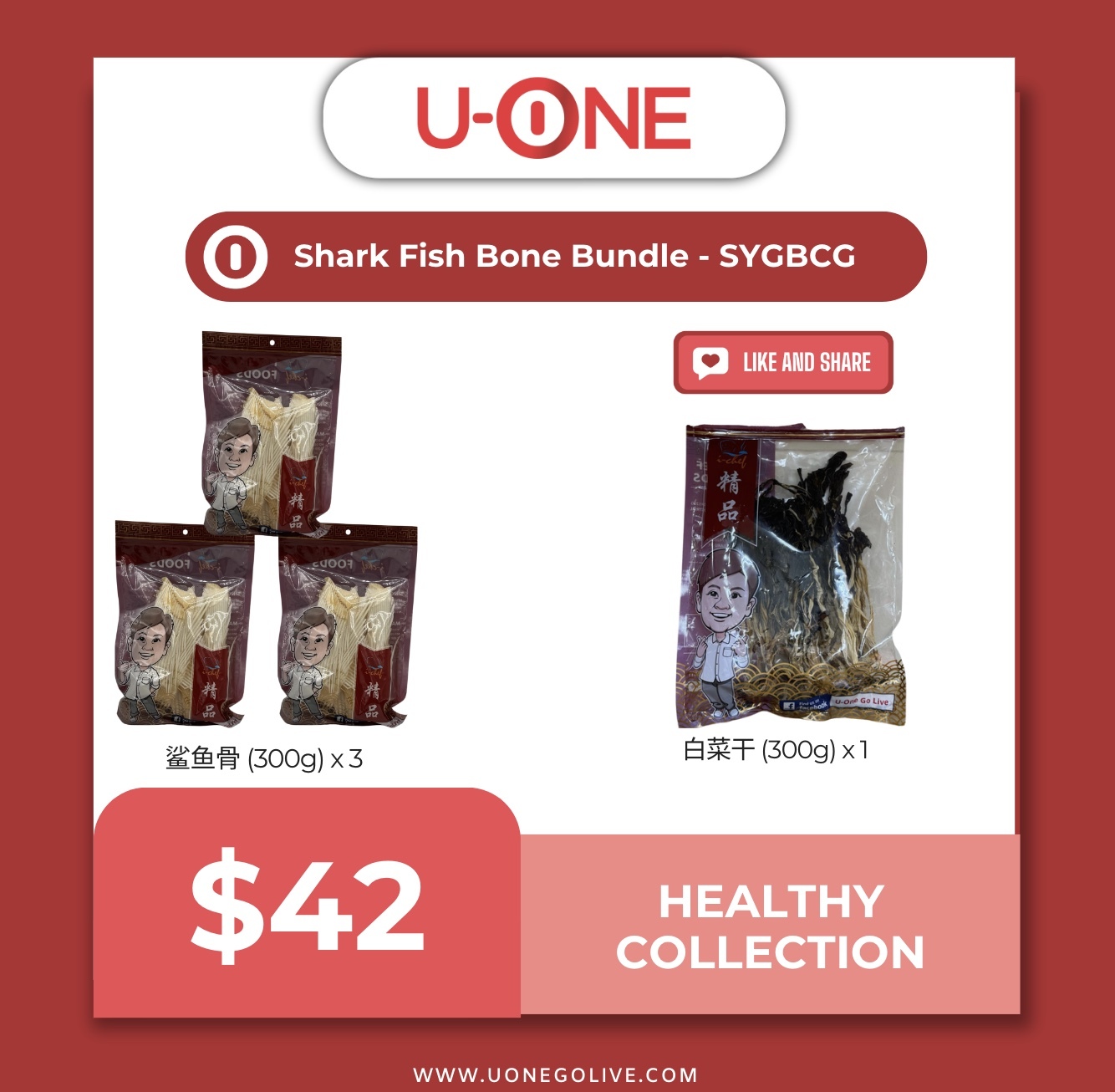 Shark Fish Bone Bundle - SYGBCG