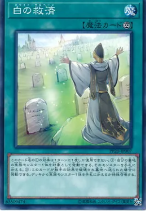 PP20-JP007 白の救済