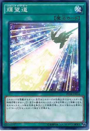 PP18-JP014 輝望道
