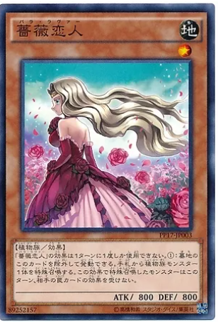 PP17-JP003 薔薇恋人