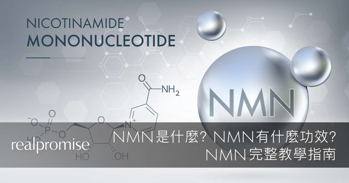 【NMN是什麼？功效、副作用、挑選指南一次看懂】營養師完整解析 NMN