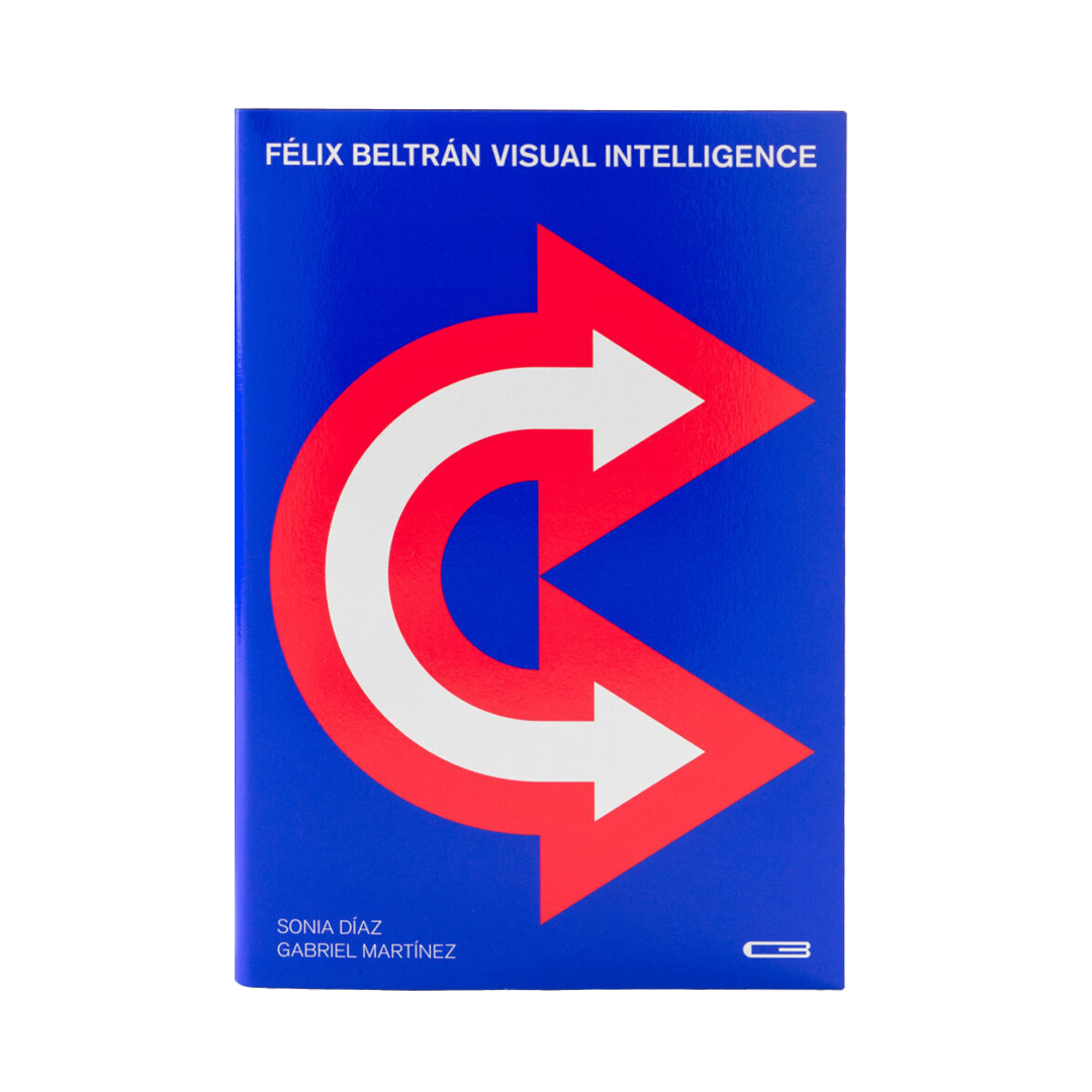 Félix Beltrán: Visual Intelligence