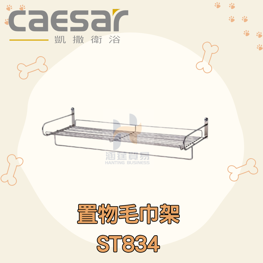 凱撒 CAESAR ST834 置物毛巾架 毛巾架 置物架 置物平台