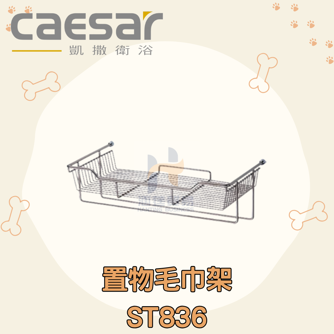 凱撒 CAESAR ST836 置物毛巾架 架子 浴室 毛巾
