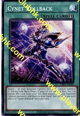 CR07-AE045 Cynet Rollback