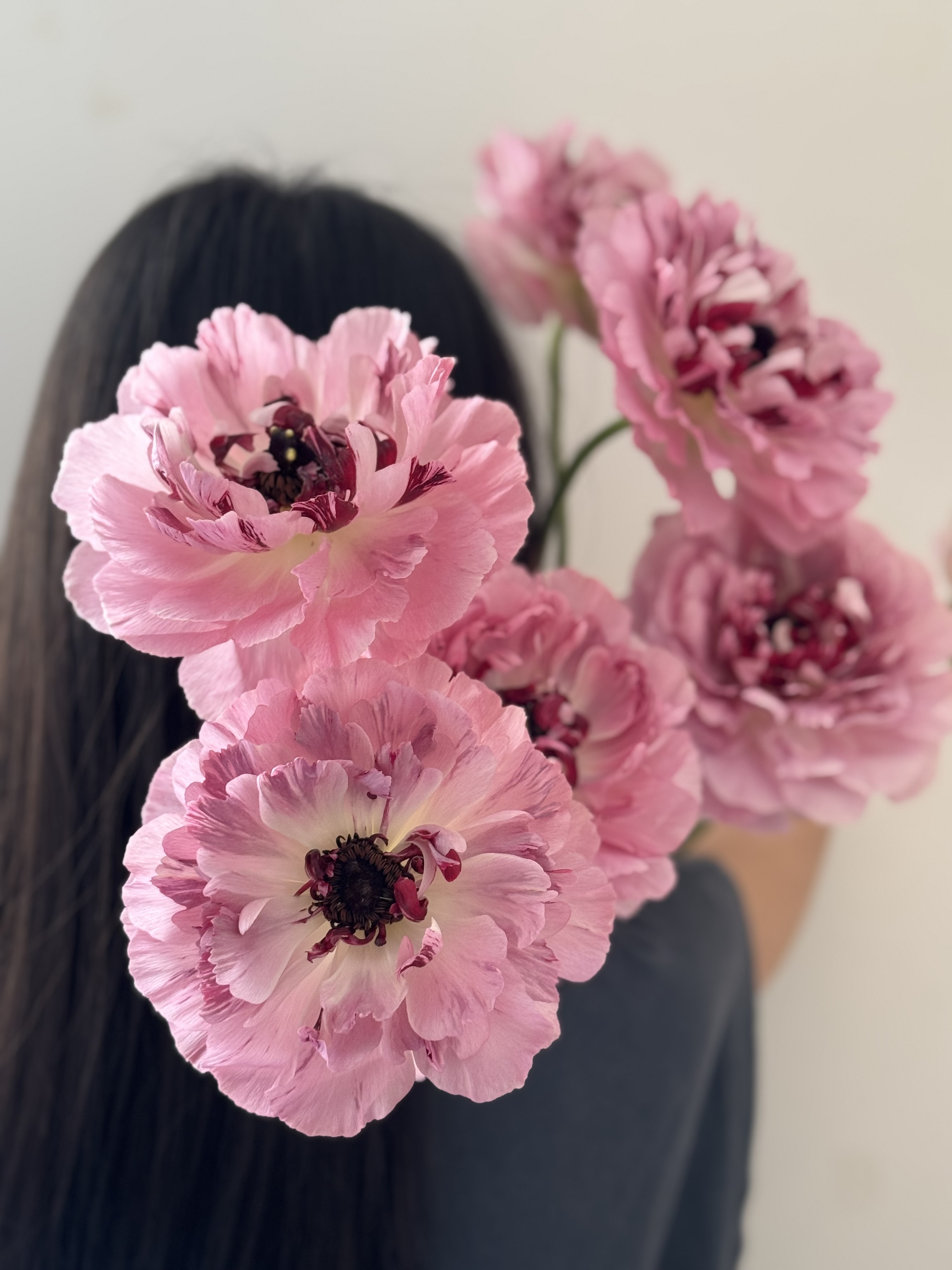 Dazzle Chic Japanese Ranunculus