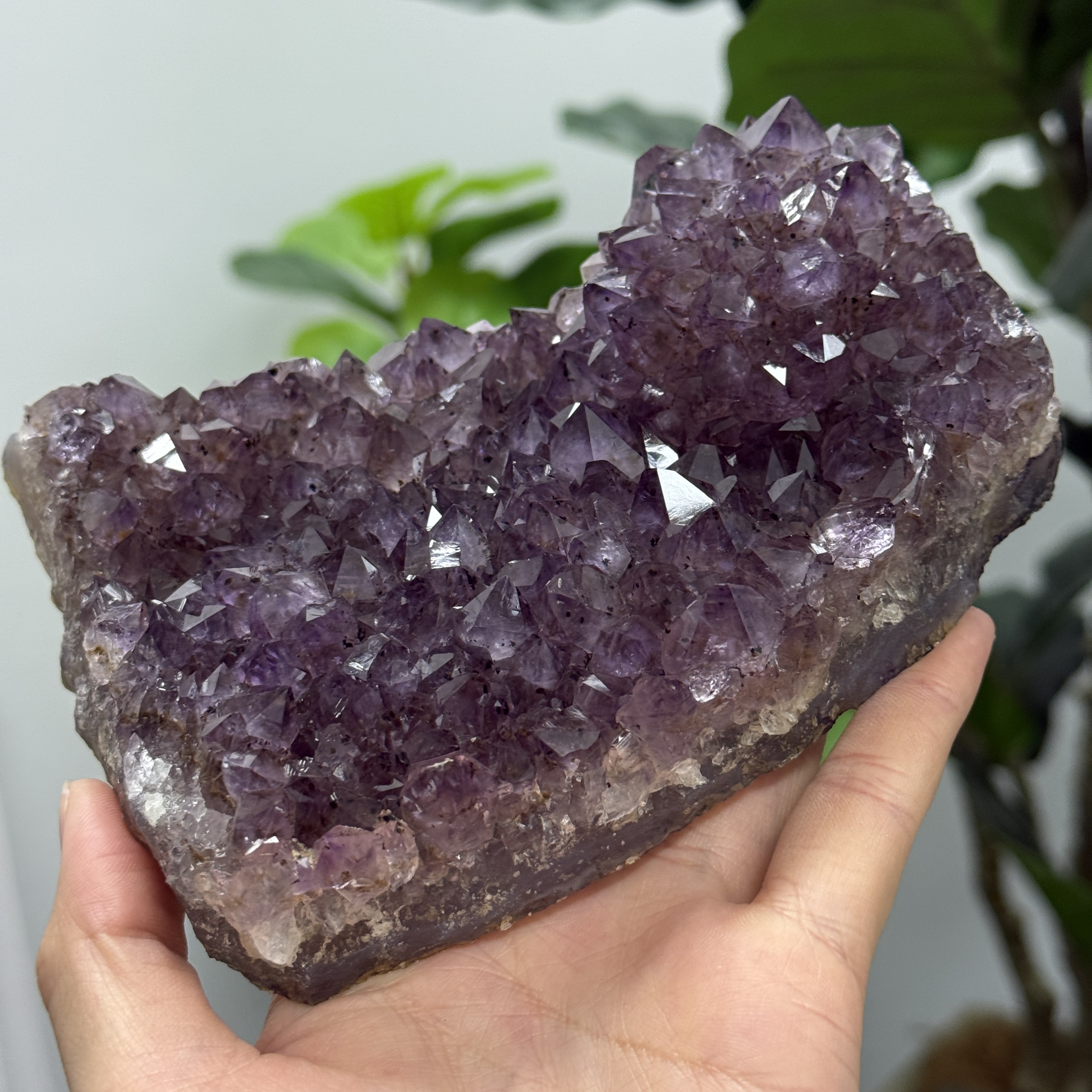 紫晶簇 860G AC2197