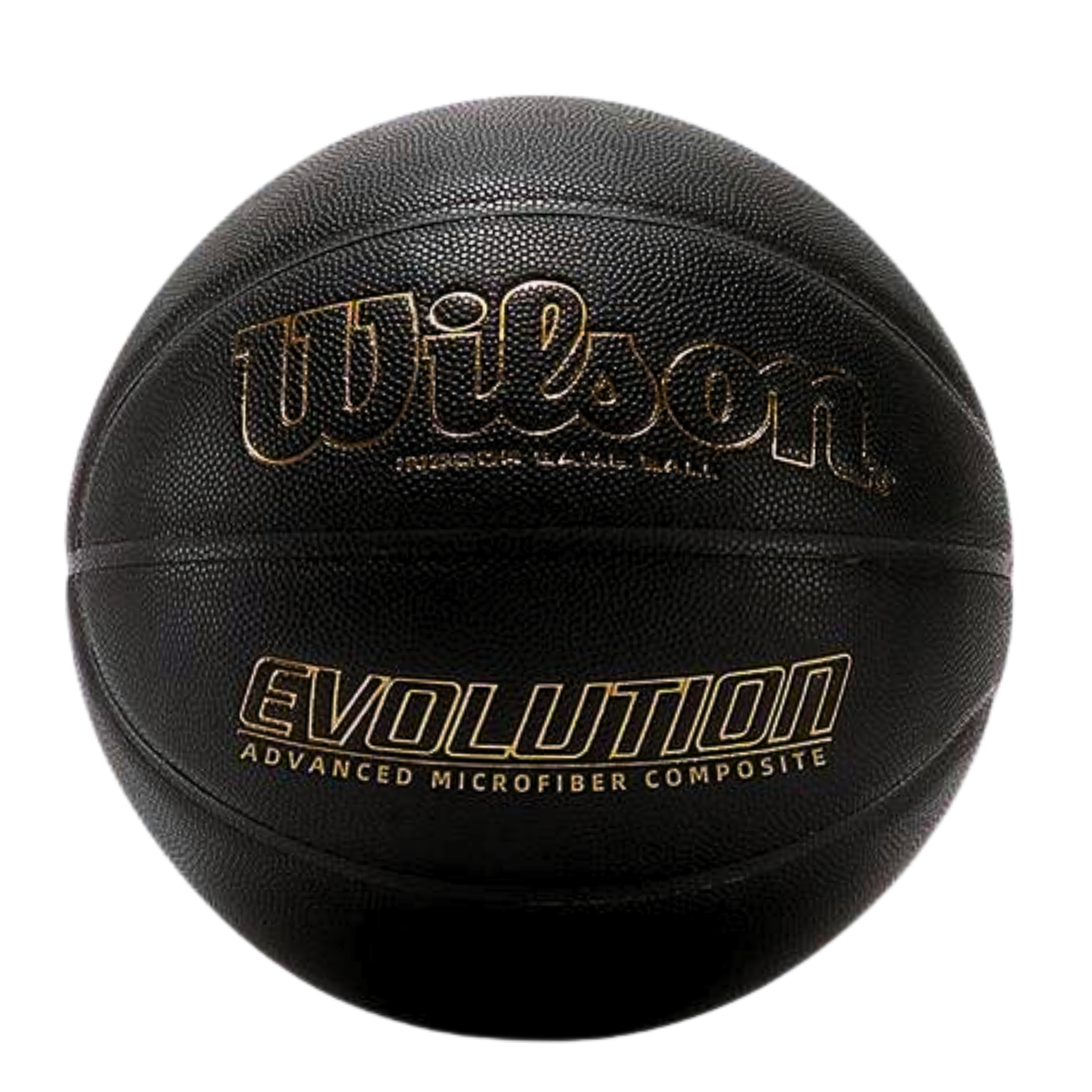 Wilson Evolution Advanced Microfiber Composite 7號籃球
