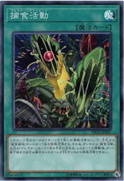 DP22-JP047 (SR)捕食活動 (捕食活動)