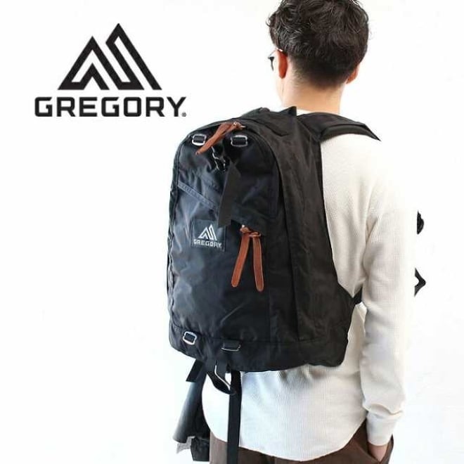 Gregory Day Pack