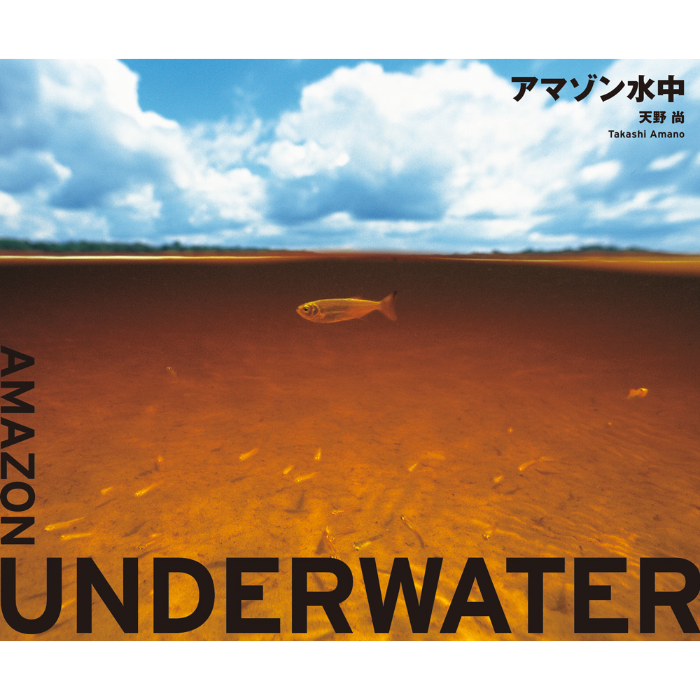 ADA Amazon Underwater