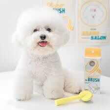 DOG DOG COME - Bite Me x Arang 寵物針梳