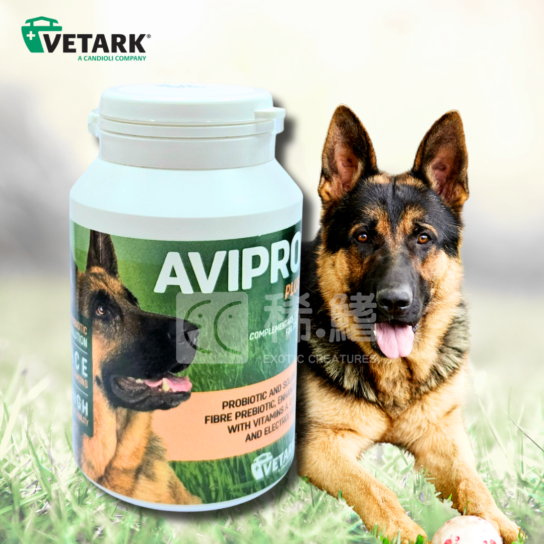 Vetark Avipro Plus 犬用營養粉 100g # AP10