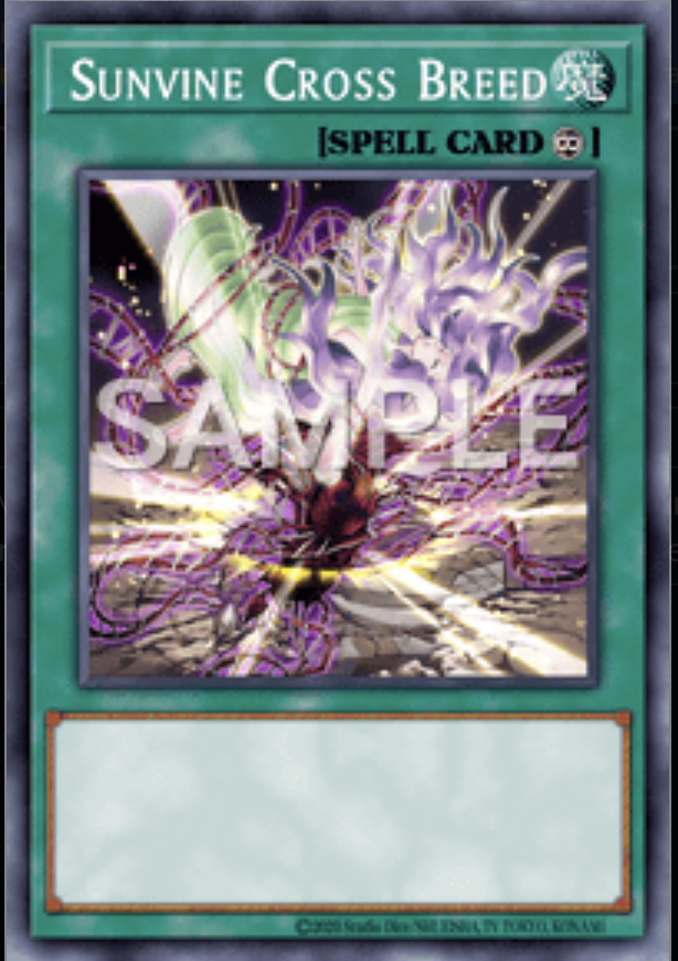 CR03-AE198 Sunvine Cross Breed