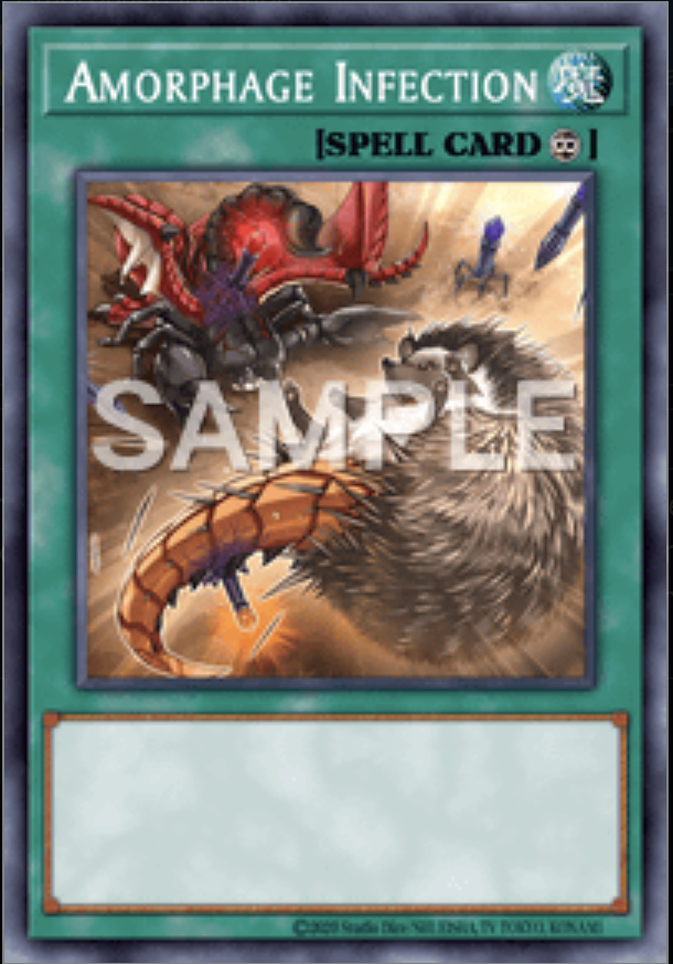 CR03-AE162 Amorphage Infection