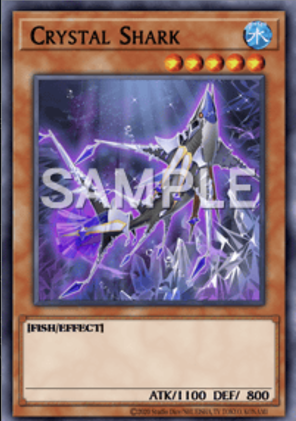 CR05-AE087 (SR)Crystal Shark