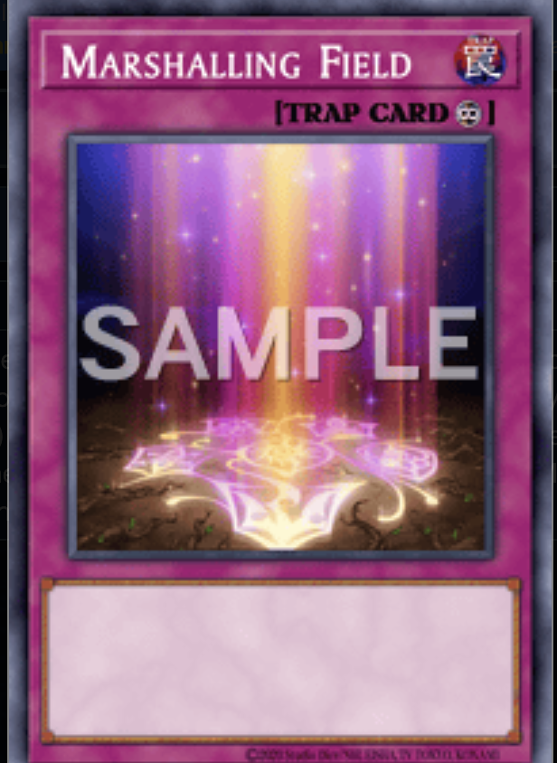 CR05-AE028 Marshalling Field