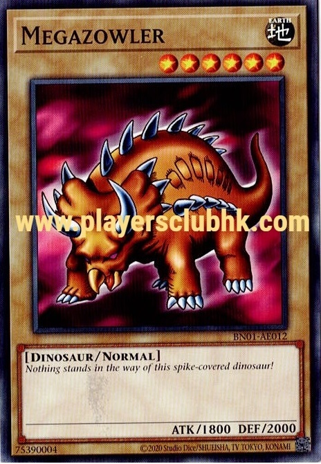 BN01-AE012 Megazowler