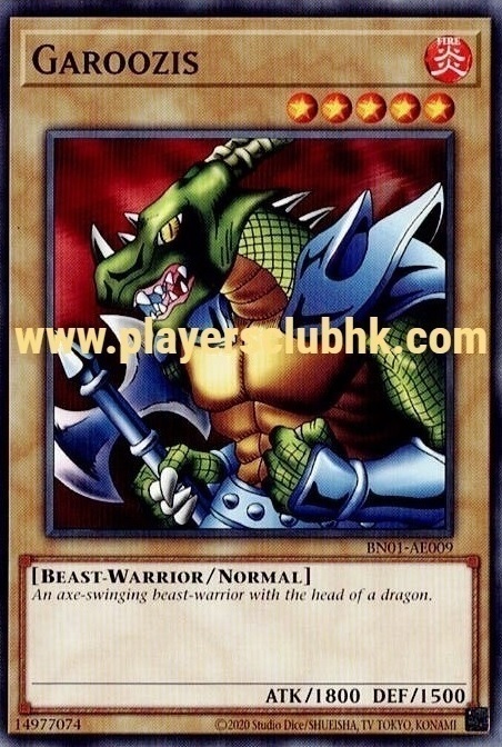 BN01-AE009 Garoozis