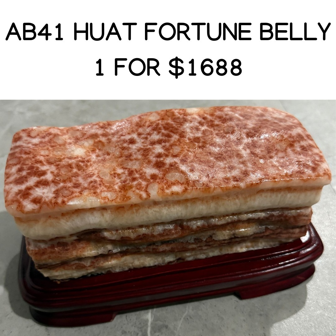 1 AB41 HUAT FORTUNE BELLY (EVAN)