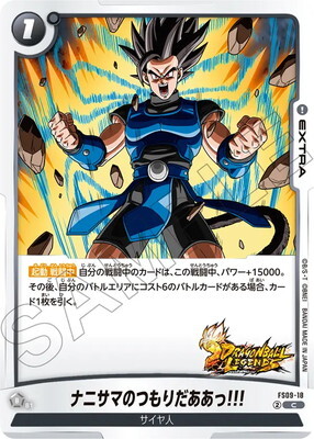 FS09-18 C ナニサマのつもりだああっ!!!