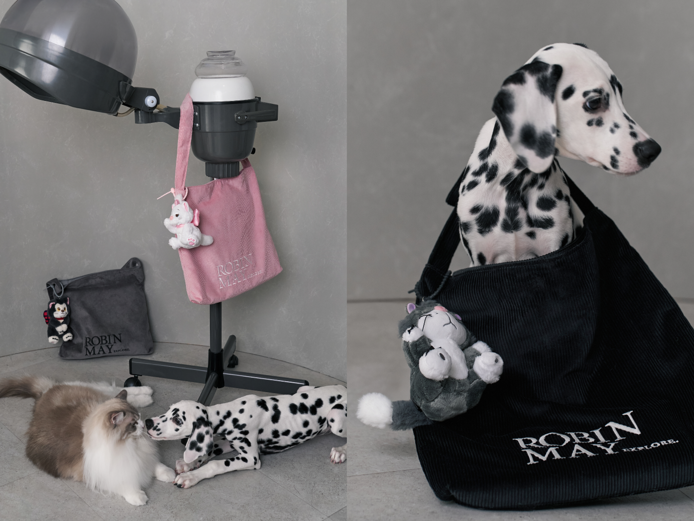 Meow & Woof Salon｜開箱 ROBINMAY Disney 貓狗系列超可愛新品