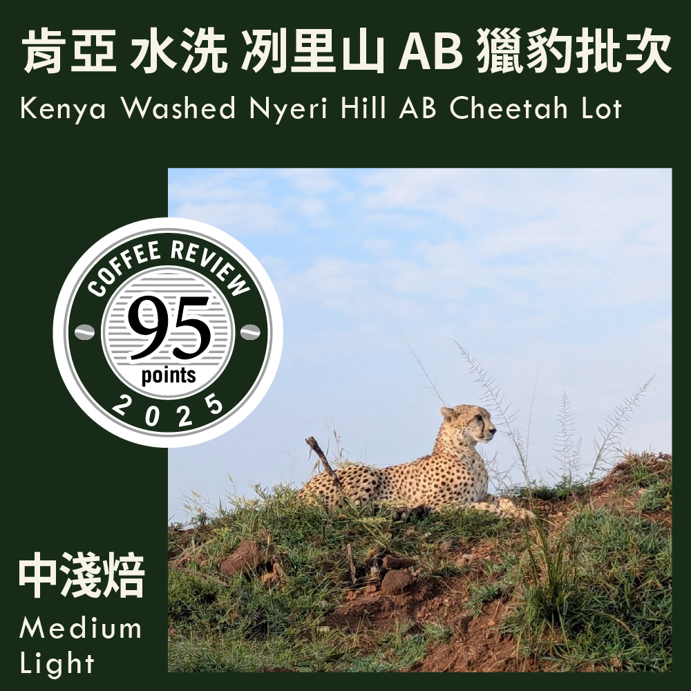 CR95-肯亞 水洗 冽里山 AB 獵豹批次
