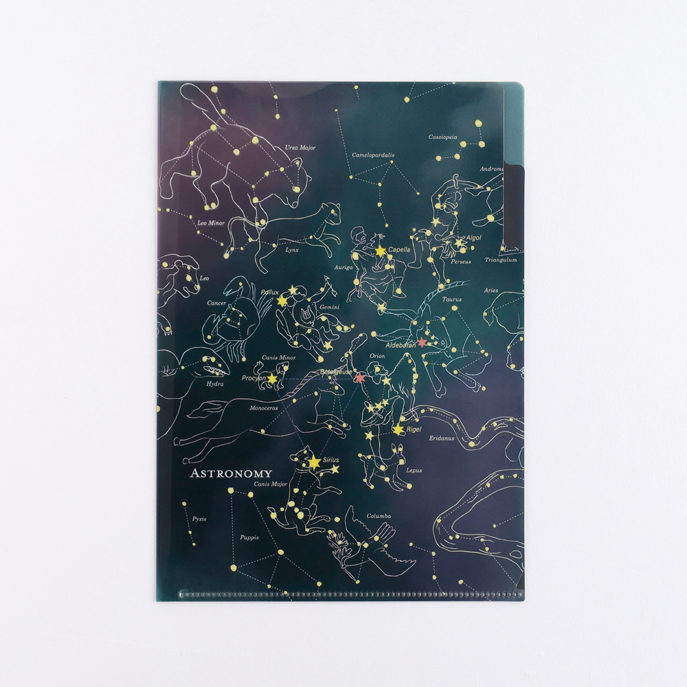 A5 雙層資料夾｜日本STUDY HOLIC