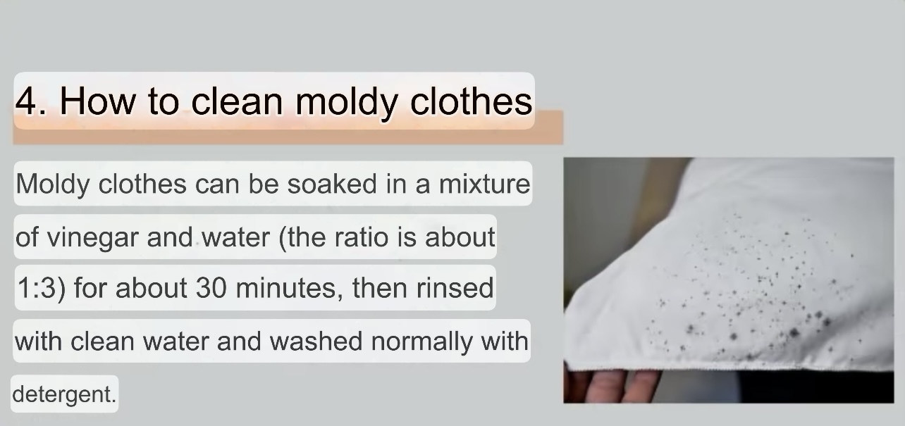 How to Clean Moldy Clothes?