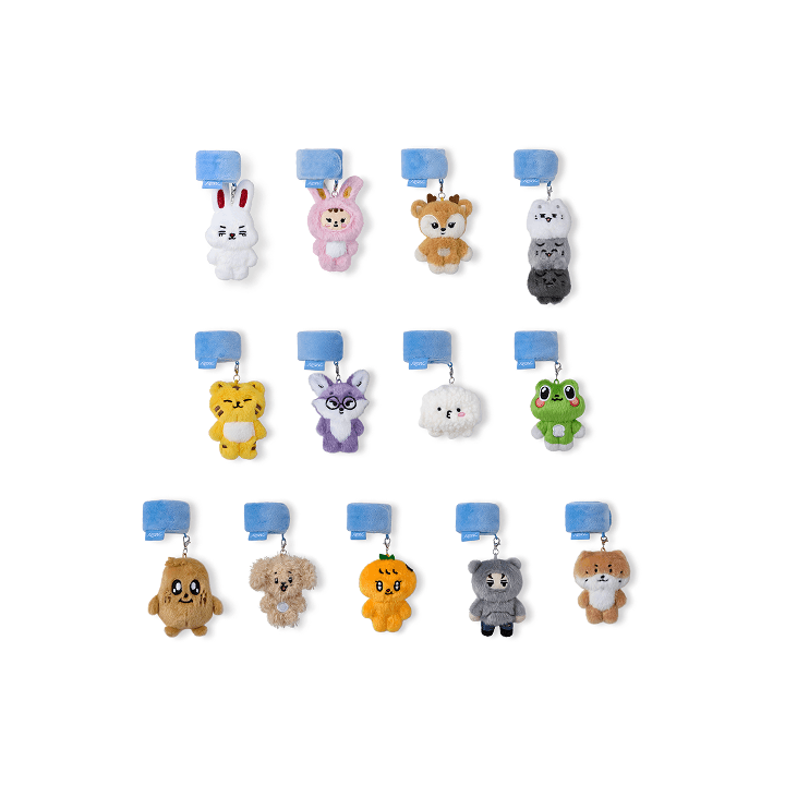 Seventeen NEW_ Tour Merch - MINITEEN Deco Band