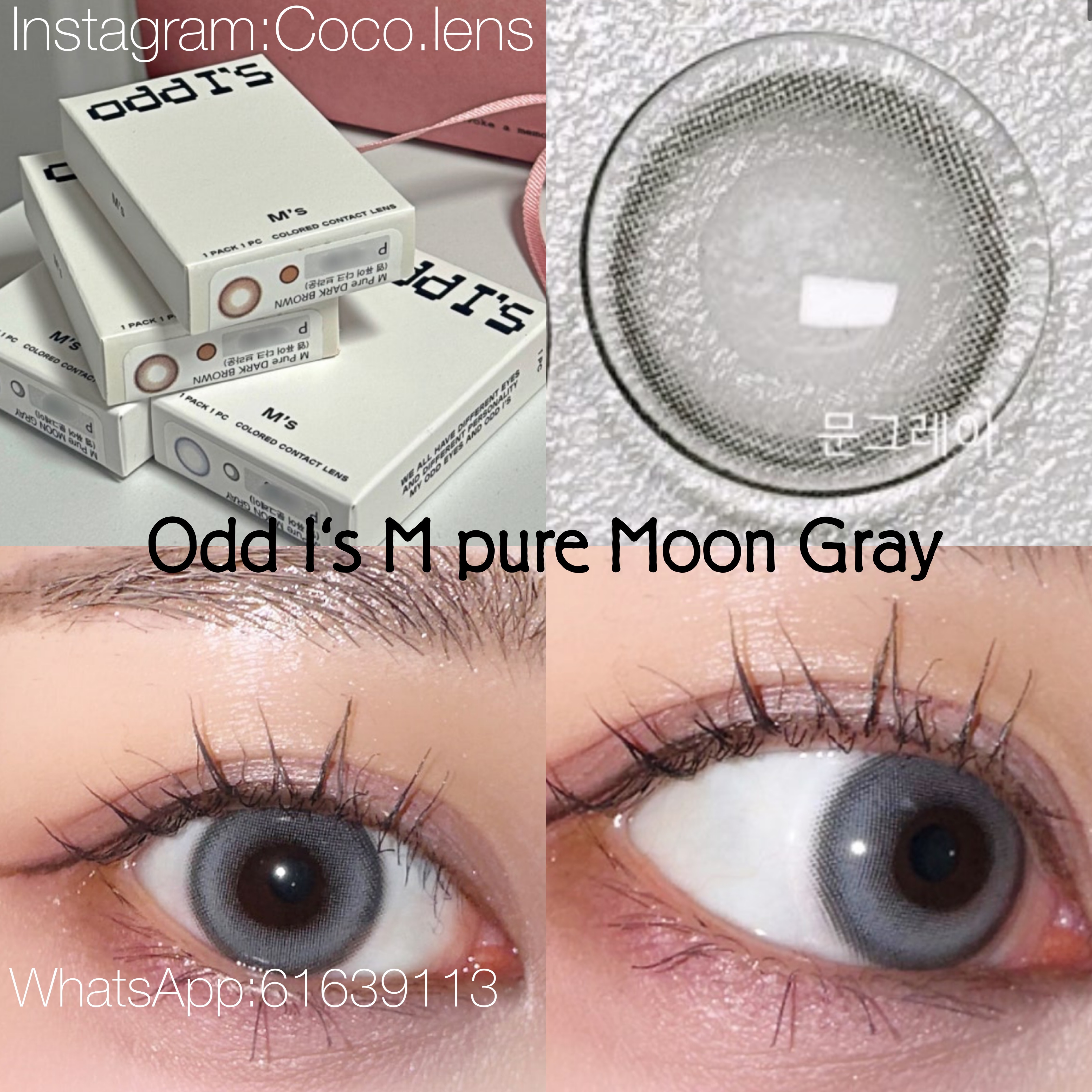 Lenstown Odd I's M Pure Month 1P Moon Gray