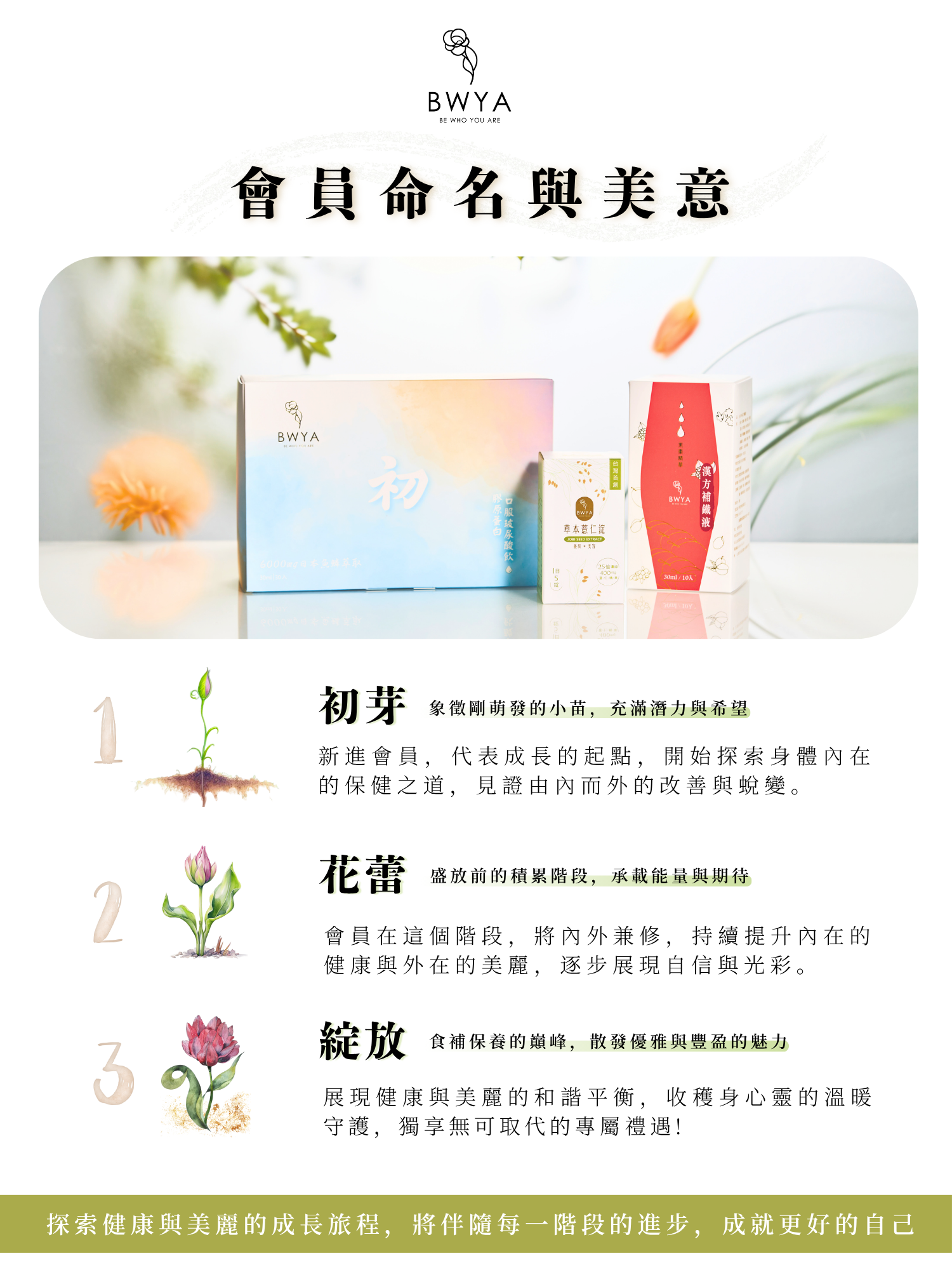 加入 BWYA 會員享購物金與專屬折扣｜點數回饋天天賺