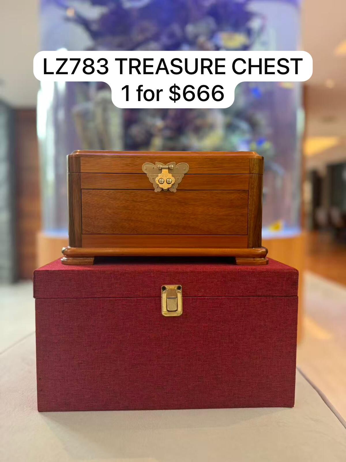 1 LZ783 TREASURE CHEST (RYAN)