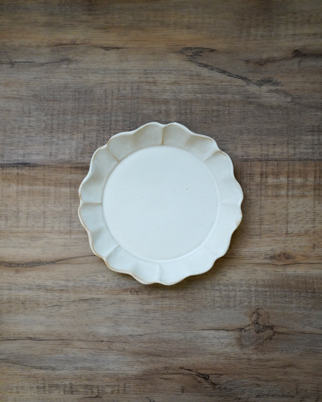 職人 若林健吾 益子燒 21cm向日葵餐碟 | moli store 日本陶瓷碗具