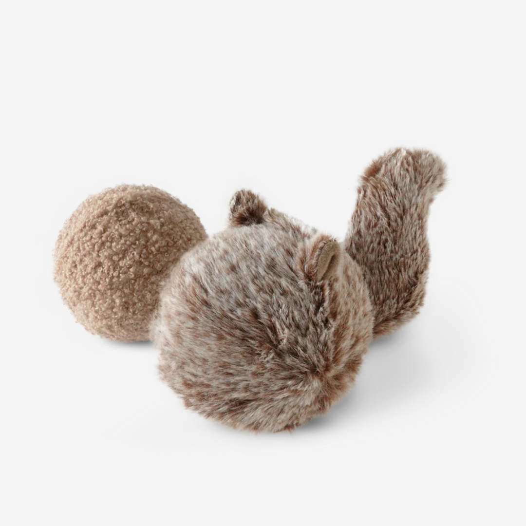 Lambwolf Collective- Squirrel POP