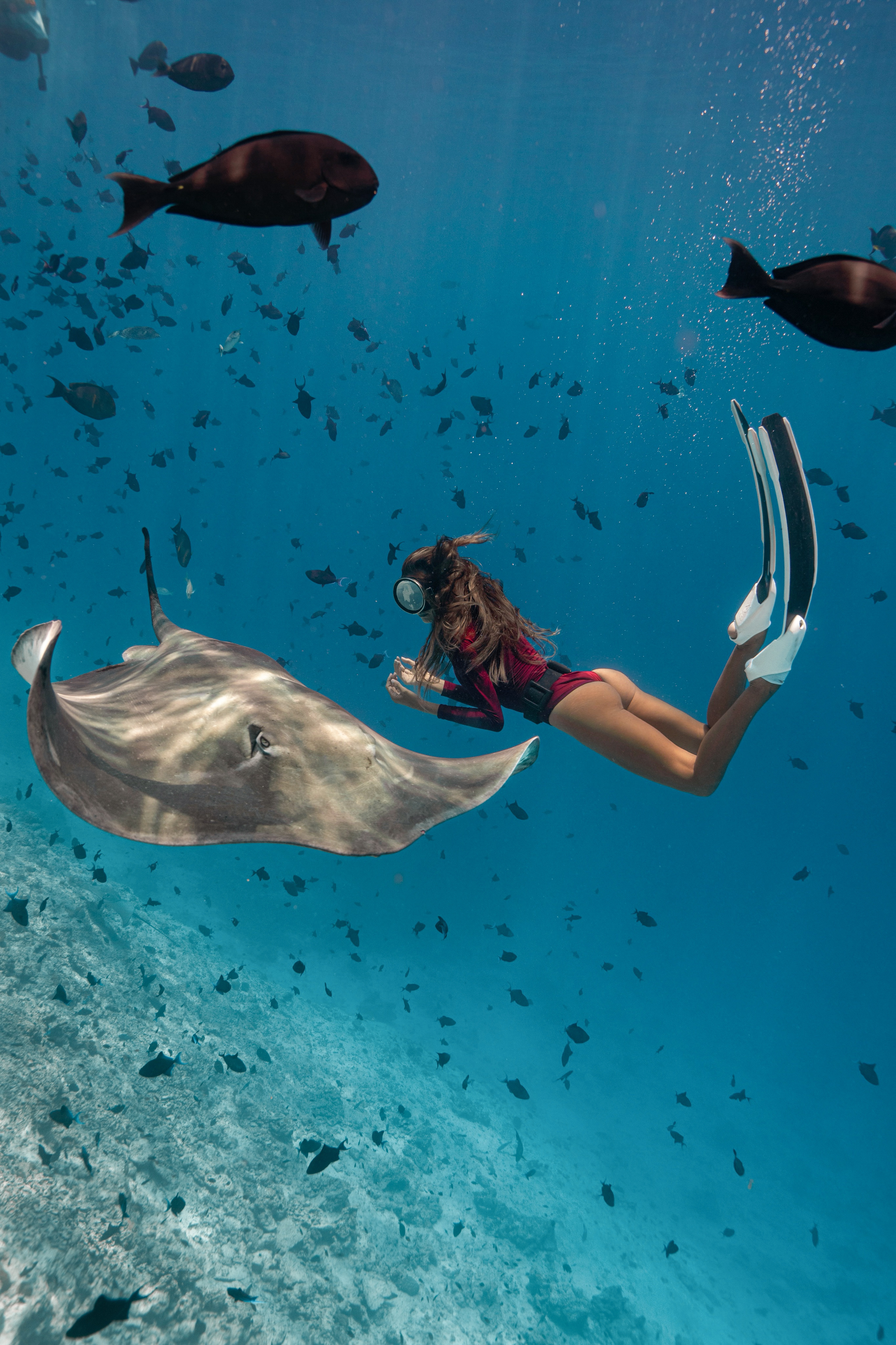 How to Choose Freediving Fins