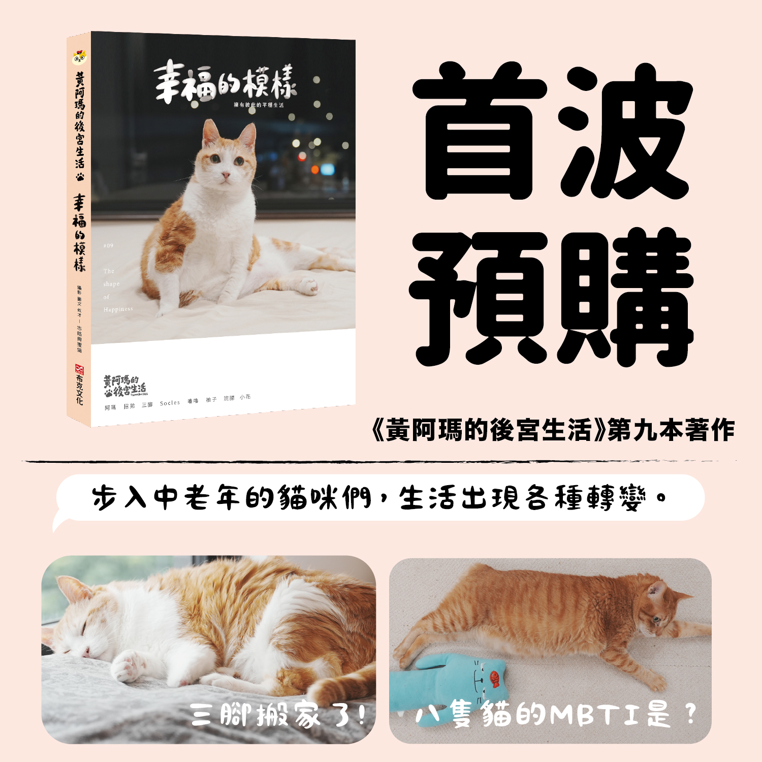 【黃阿瑪的後宮生活】幸福的模樣