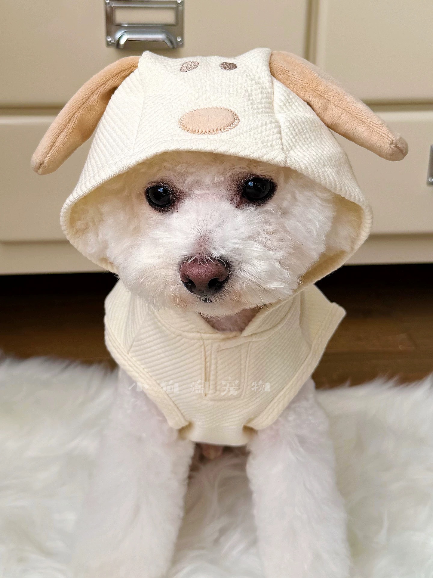 史努比 宠物连帽衣