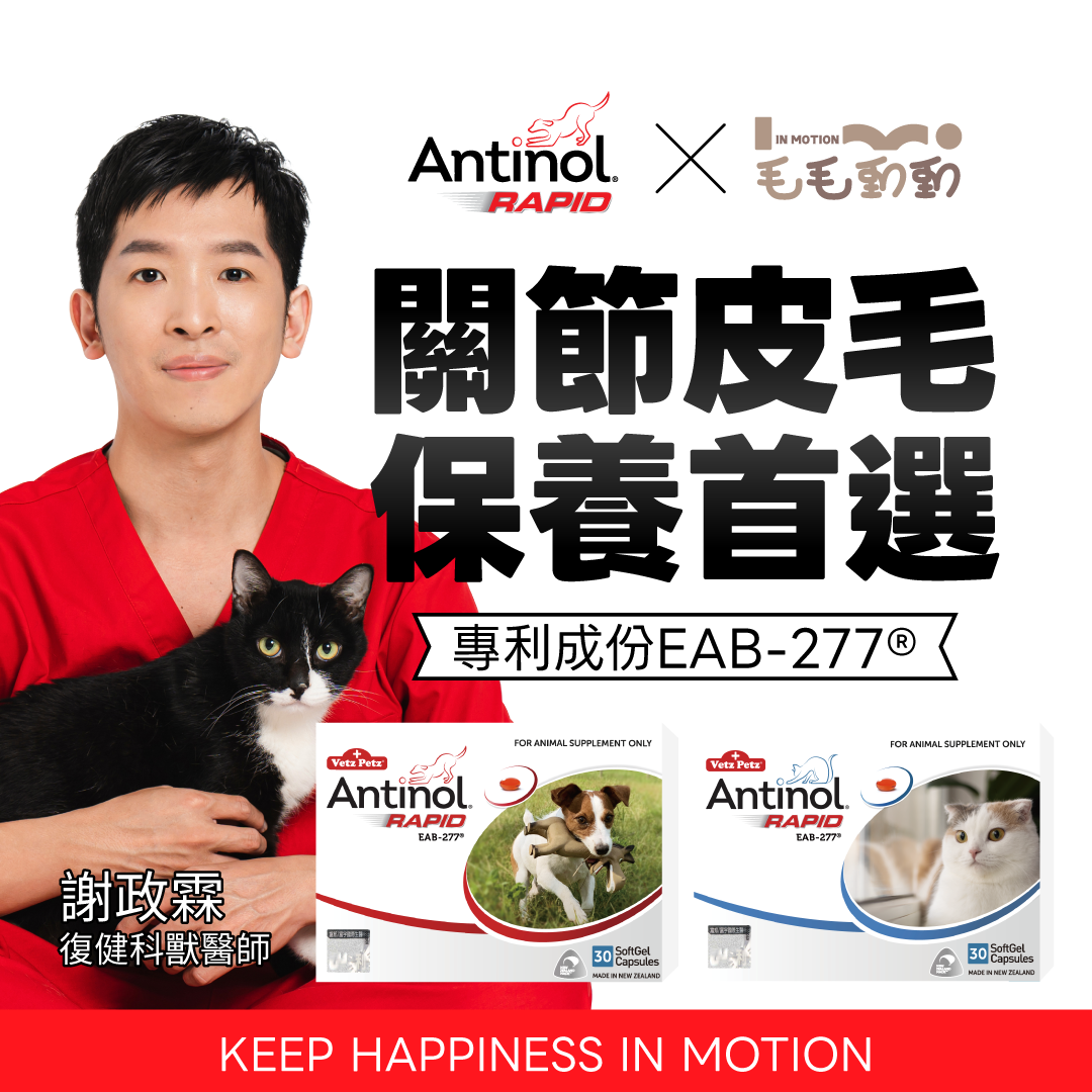 毛毛動動 InMotion - 寵物保健食品第一選擇