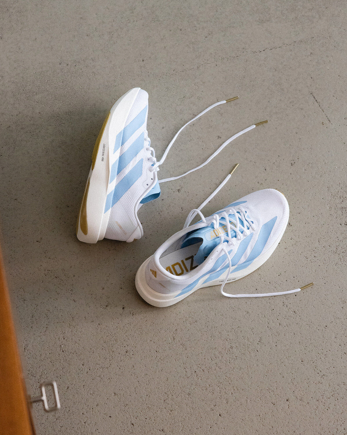 Adidas Adizero EVO SL World Cup | Argentina